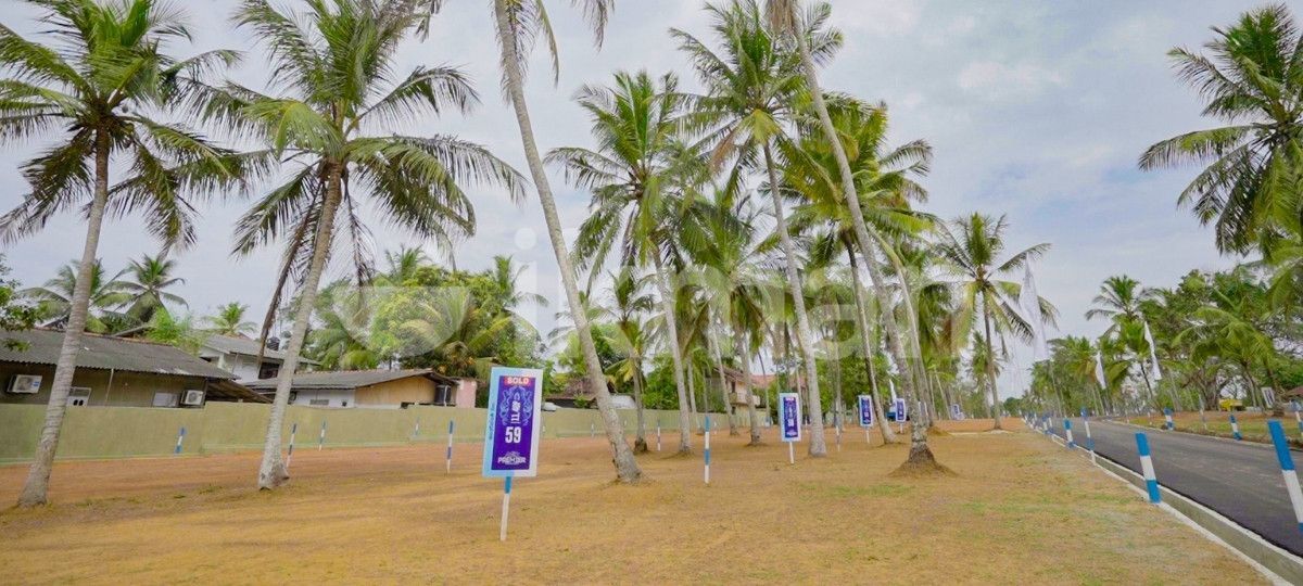 Land In Seeduwa Raddolugama | ikman