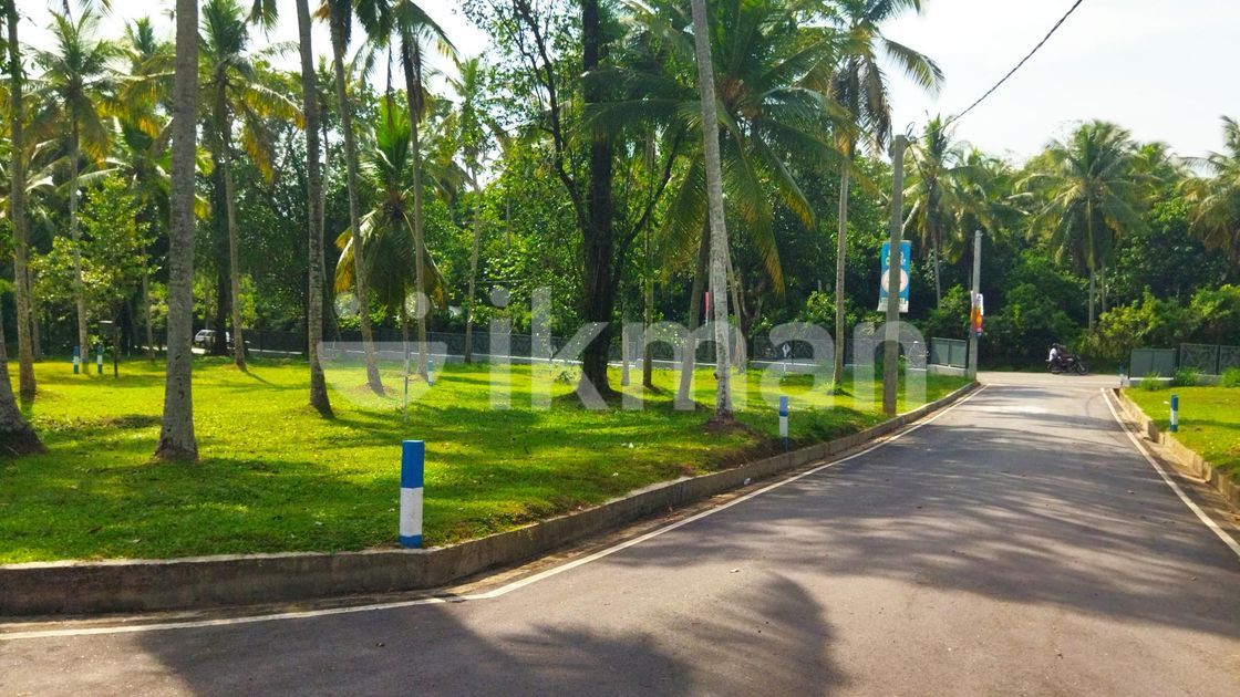 Land In Veyangoda | ikman
