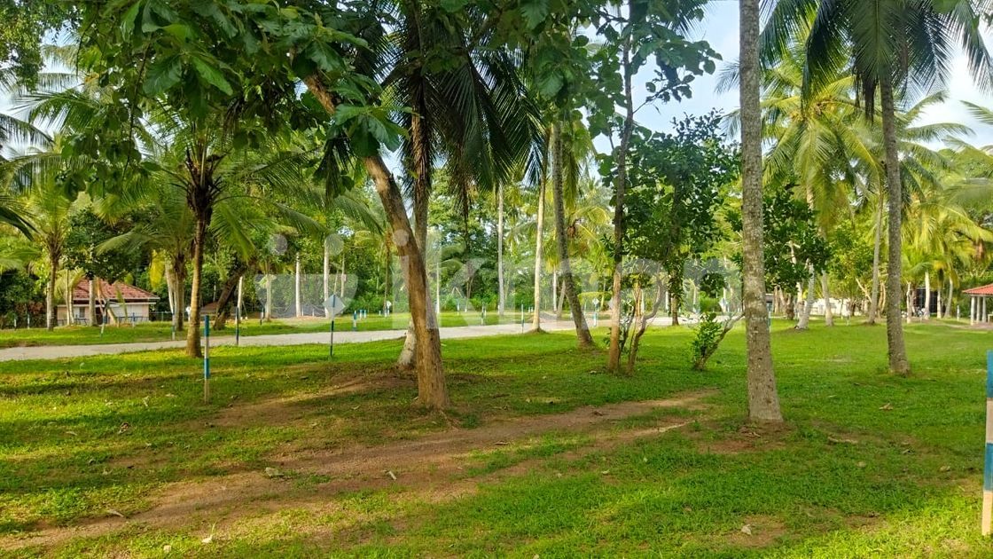 Land in Veyangoda | ikman