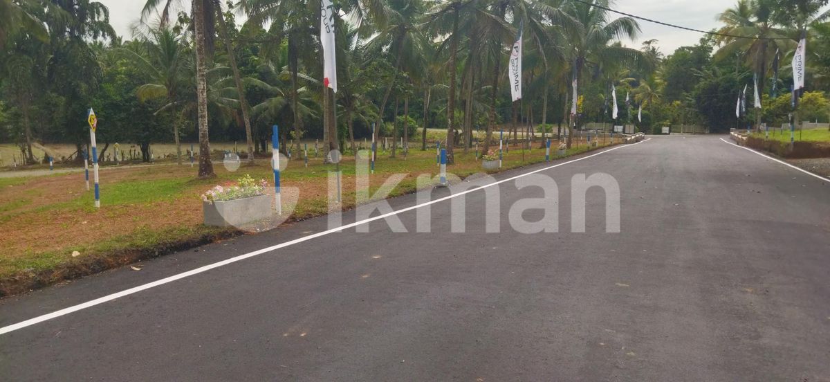 Land In Veyangoda | ikman