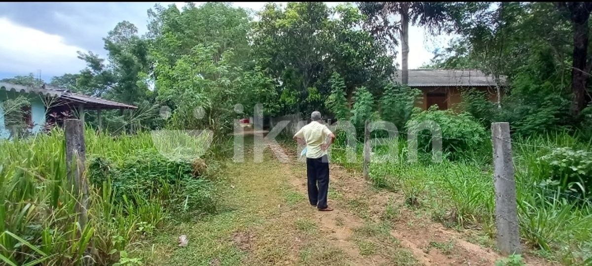 Land in Wellawaya | ikman