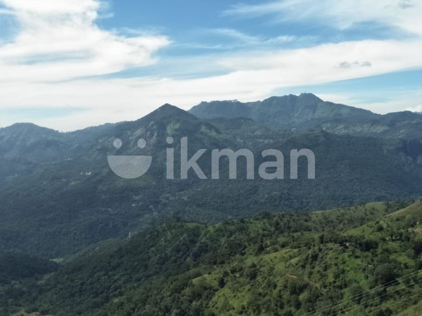 Land of Sale Mountain Range View Delthota | ikman