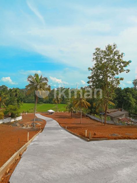 Land Plots Facing Beautiful Paddy Field L08 for Sale Dambadeniya | ikman