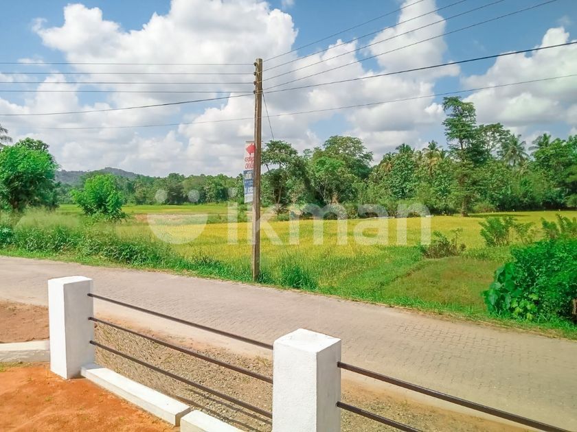 Land Plots Facing Paddy field L08 | ikman