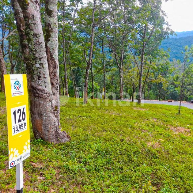 Land Plots for Sale in Kaikawala - Raththota Rd (8 Km to Riverston ...