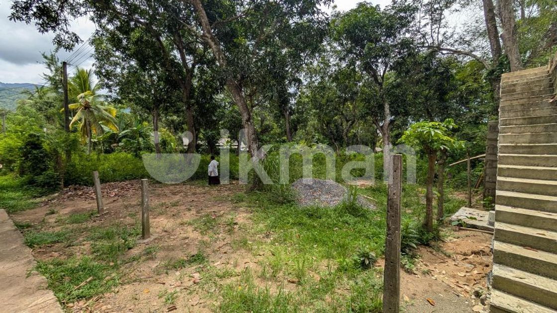 Land Sale in Monaragala City 100+ Perch | ikman