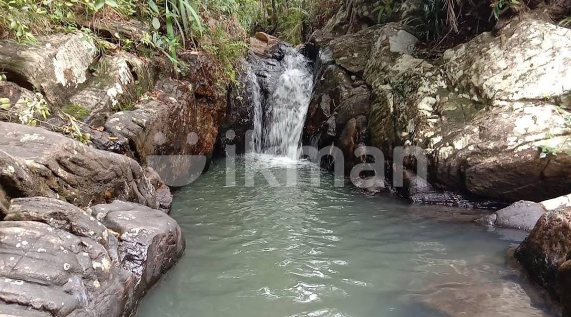 Lands for Sale in Galaha -Delthota | ikman