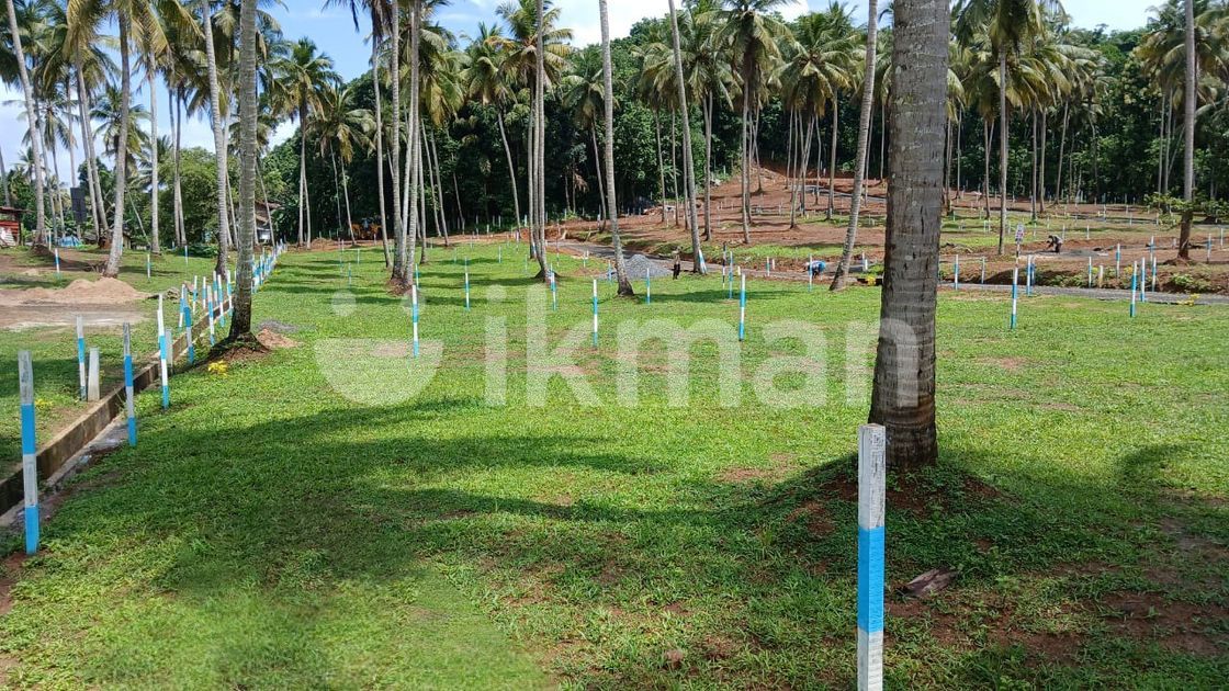 Lands For Sale In Polgahawela - K 05 | ikman