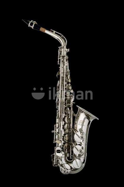 Lark Alto Saxophone (Silver / Gold) for Sale in Delgoda | ikman