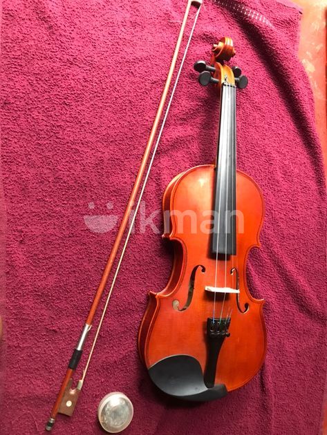 Lark Violin for Sale in Kadawatha | ikman