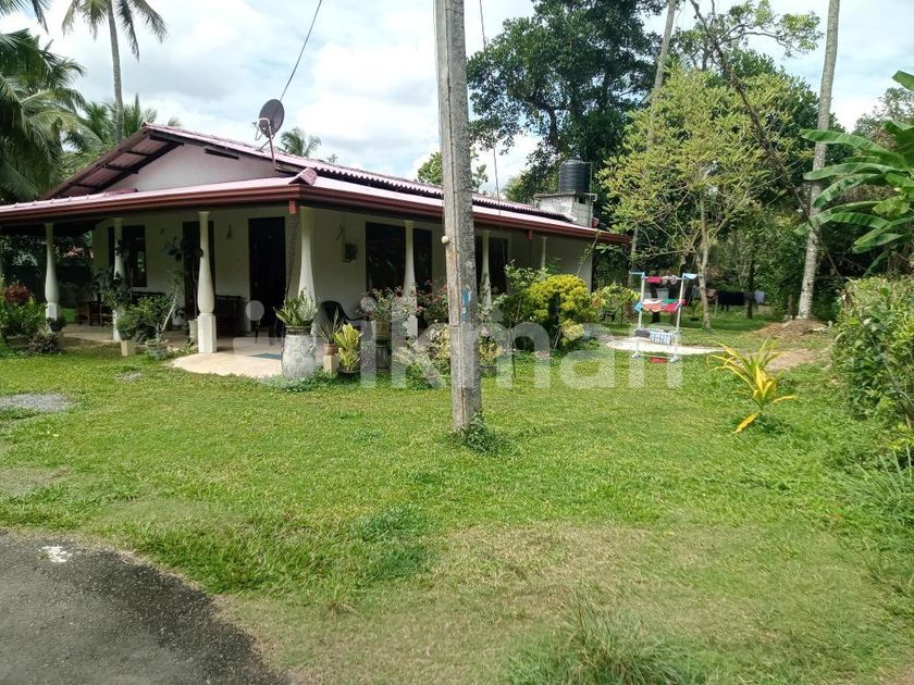 Luxury Annex for Rent in Kalalgoda | ikman