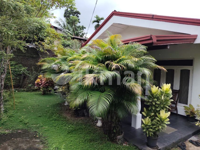 Malabe Kaduwela Road Single Storey House for Sale | ikman