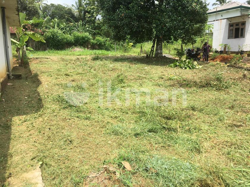 Malabe Kahanthota 10.1Perches Land For Sale | ikman