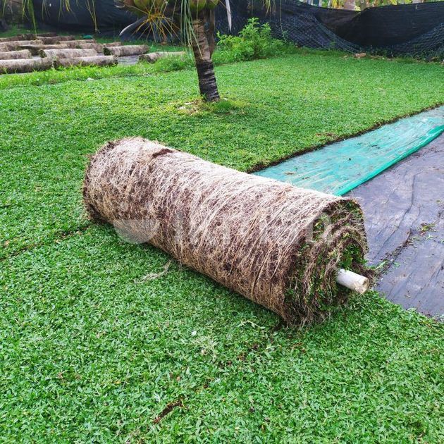 Malaysian Grass With Interlock Paving Landscaping Service | Kotte | ikman