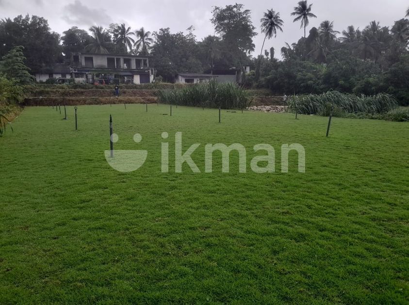 Manel Malaysian Garden Grass Supplier Interlock Design Landscaping ...