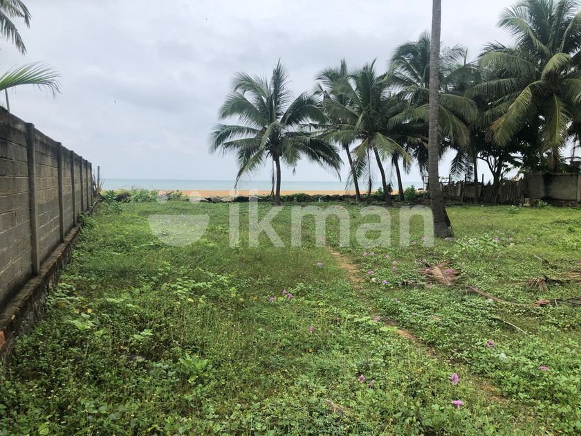 Marawila : 50 Perches Beautiful beach front Land for sale at road | ikman