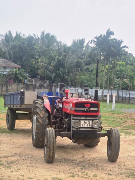 Massey Ferguson 135 1971 | Jaffna City | ikman