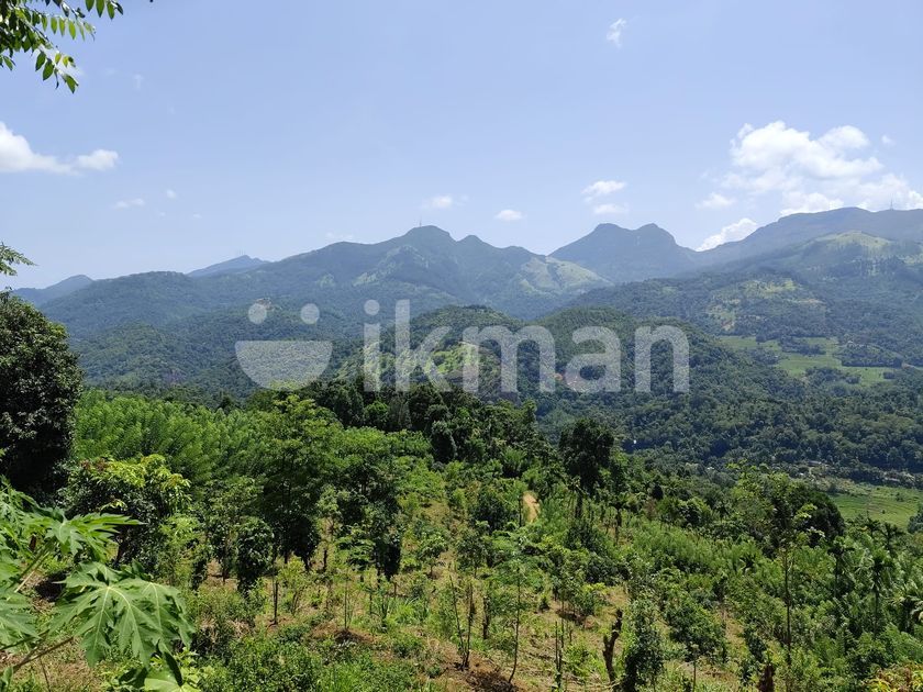 Mathale : 7 Acres Tourist Hotel Land for Sale at Rattota | ikman