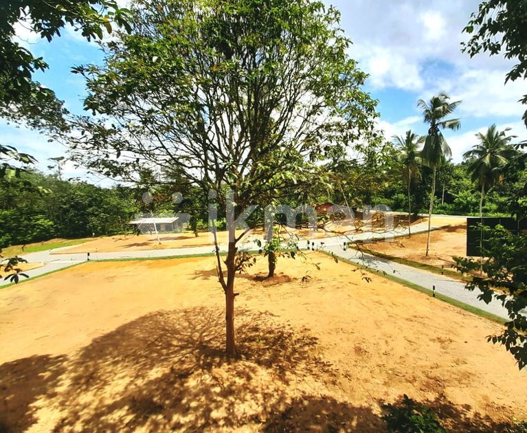 Meepe, Waga Lands For Sale , Near Pinnawala Railway Station | ikman