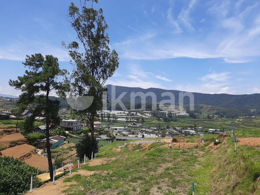 Meepilimana Land for Sale Nuwaraeliya | ikman