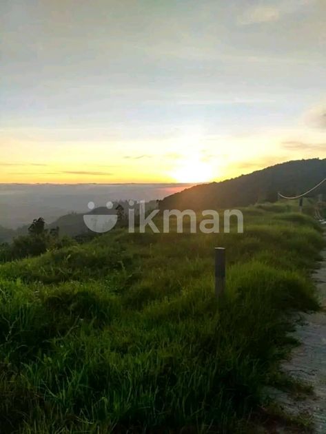 Meepilimana Land of Sale Nuwaraeliya | ikman