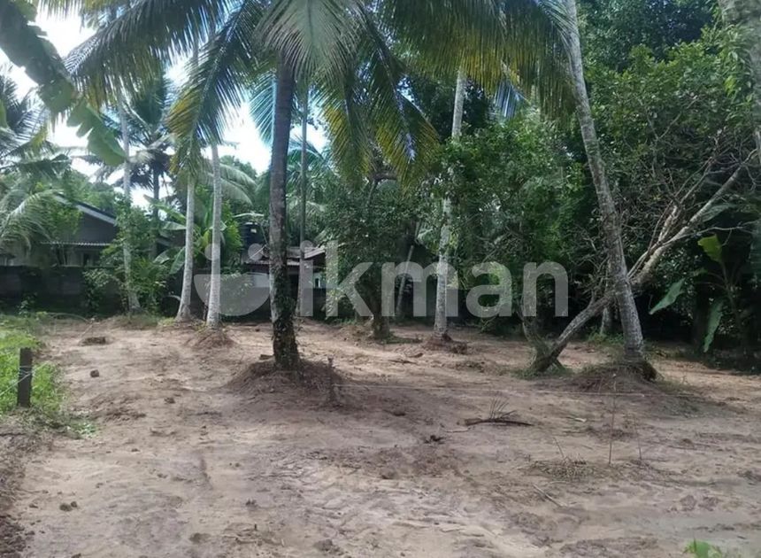 Minuwangoda 20 Perch Land for Sale | ikman
