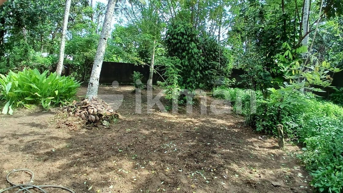 ⭕️ (ML390) 13 Perch Land For Sale in Athurugiriya | ikman
