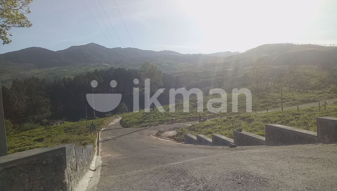 Mountain Range View Land Chariot Path Road Nuwaraeliya | ikman