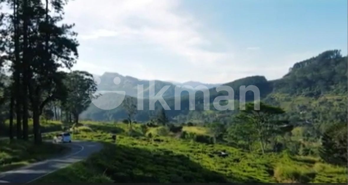 Mountain Range View Land for Sale Delthota | ikman