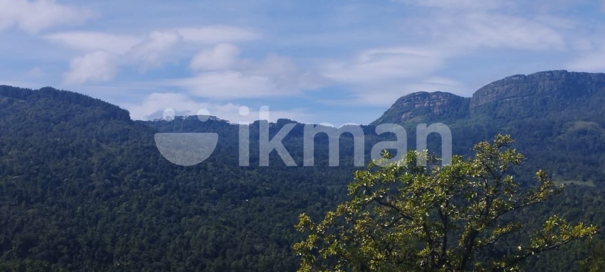 Mountain range view plots of land 15mins from Kandy Town | ikman