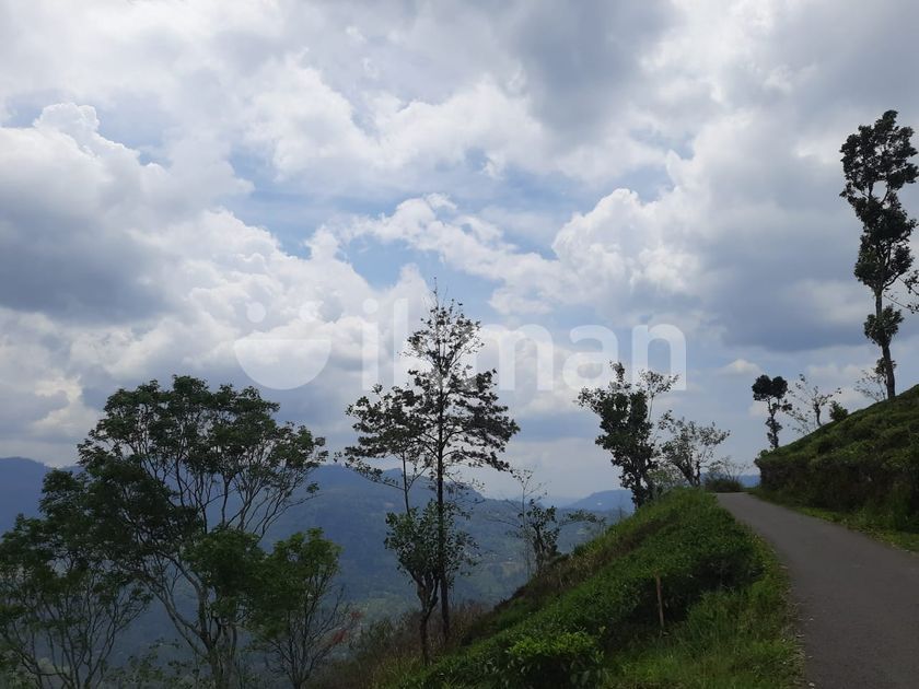 Mountain view land for sale in Pundaluoya | ikman