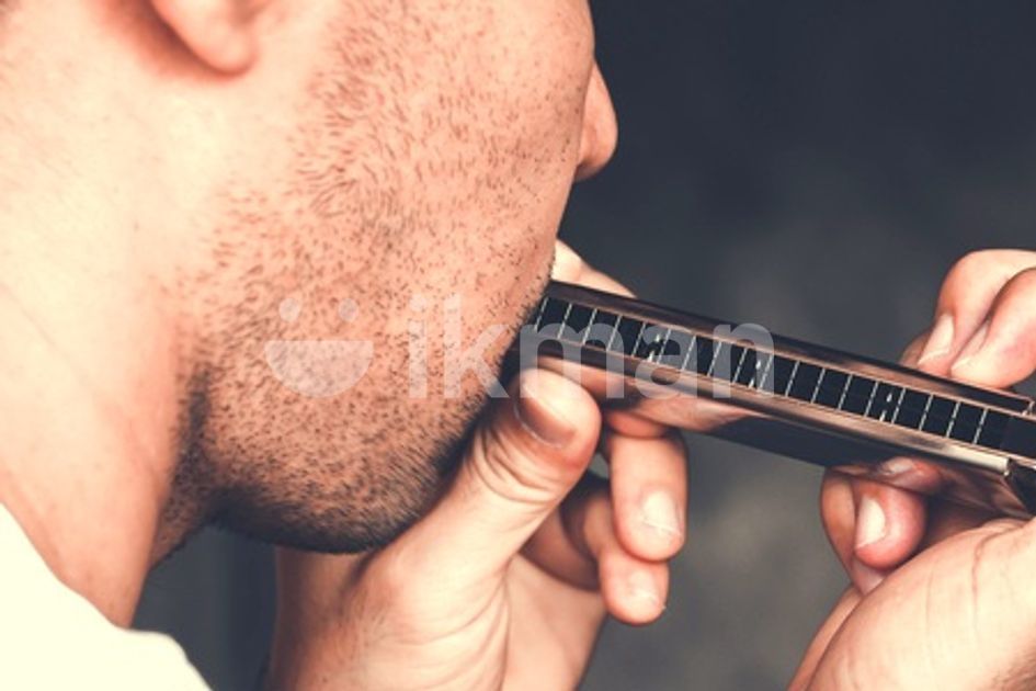 Mouth Organ in Malabe | ikman