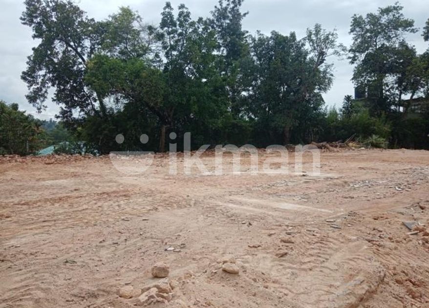 Negombo 100 perches Land for Rent in Ettukala | ikman
