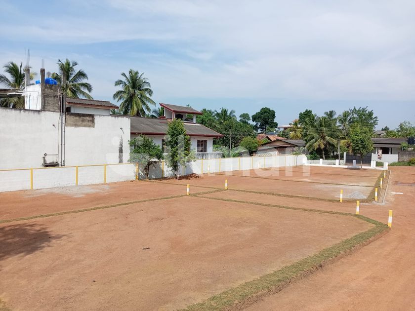 ⭕ නිස්කලන්ක පරිසරයක අනගි බිම් කොටස් කිහිපයක් | ikman