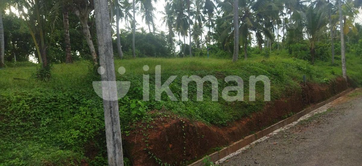 Nittambuwa - Land for Sale | ikman