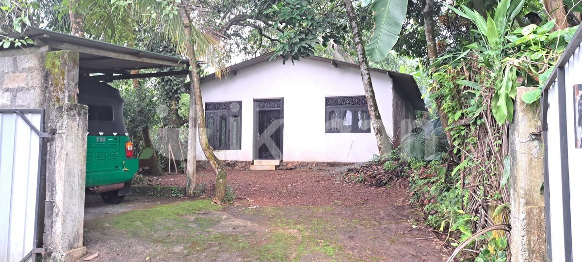 නිවස සහිත ඉඩම විකිණීමට Pugoda | ikman