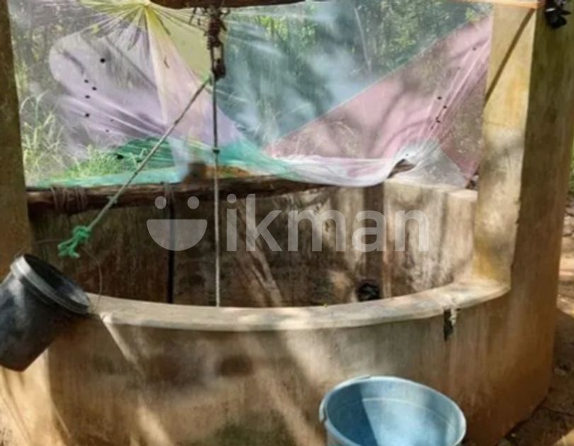 නිවස සමග ඉඩම අනුරාධපුර | ikman