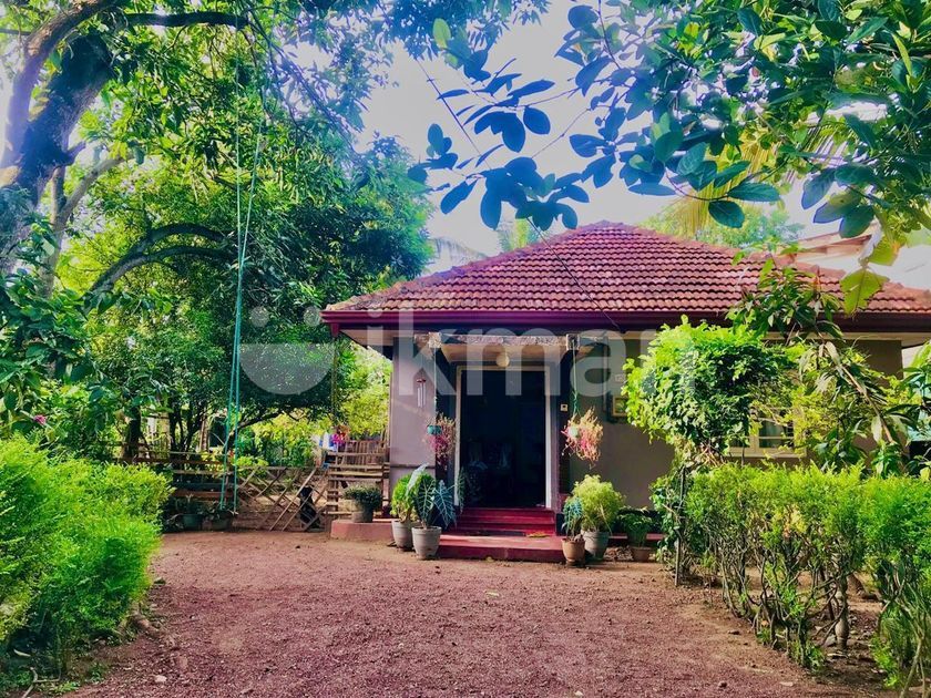 (NNI-206) House with 2 separate annexes for sale in Moratuwa Molpe | ikman