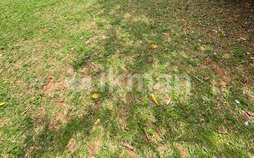 Nugegoda : 7.5 perches Land for Sale at Off Dewala road | ikman