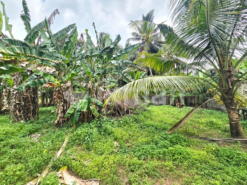 Paddy Field Facing Bare Land For Sale In Kesbewa | ikman