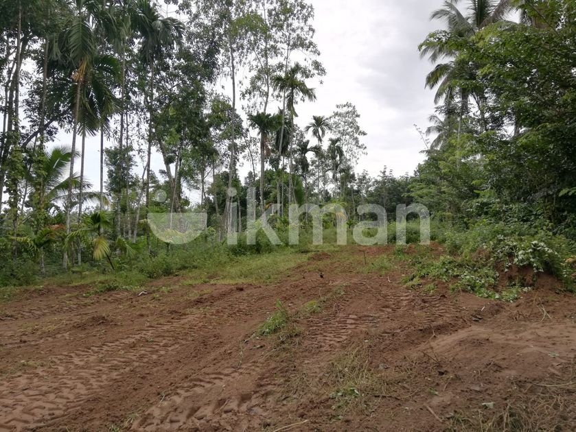 Padukka : 60P Highly Residential Land for Sale in Malagala | ikman