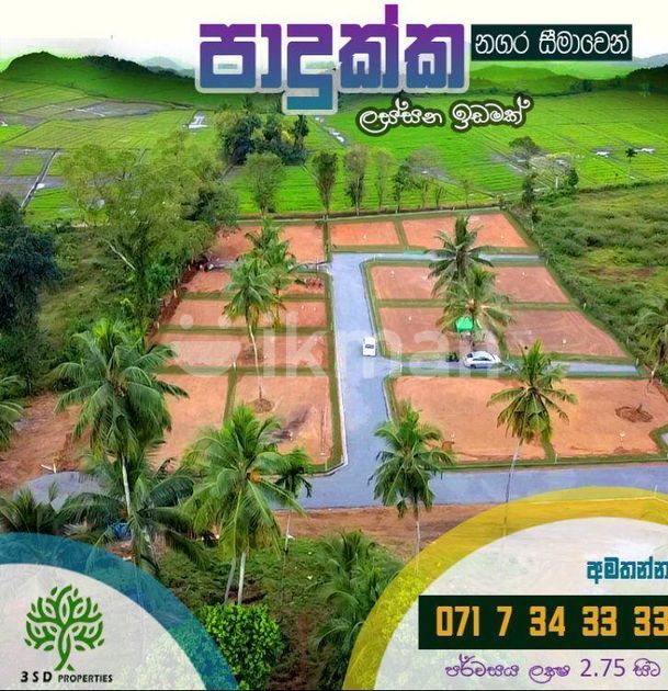 Padukka paddy field facing 10p land plots for sale | ikman