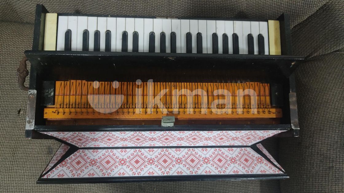 Paloma Serpina Harmonium in Kaduwela | ikman