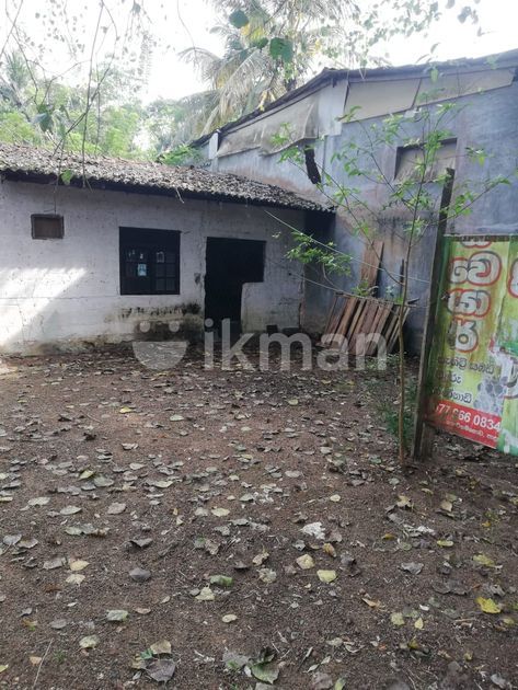 Pannipitiya : 10.1 perches Land for Sale at Liyanagoda | ikman