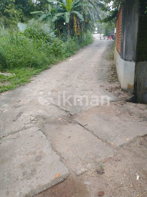 Pannipitiya Malabe Road 09 Perches of Land for Sale | ikman