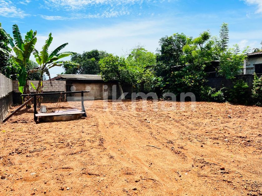 Perfect Land for Sale – Kandana / Ragama | ikman