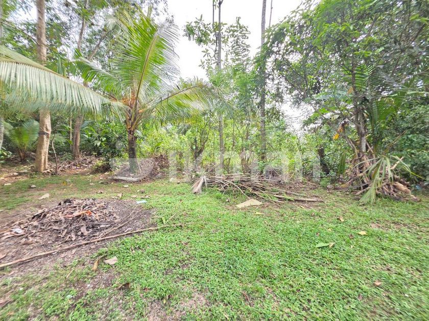 පර්චස් 37 ක ඉඩම් කැබැල්ල ඉක්මනින විකිනීමට - පයාගල | ikman