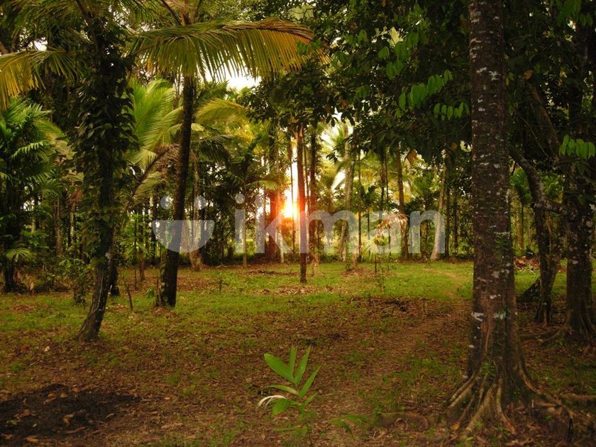 Prime 12.5 Perch Plots for Sale in the Heart of Tech City, Homagama | ikman