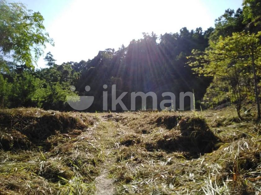 Prime Land – Galagedara (kandekumbura) | ikman