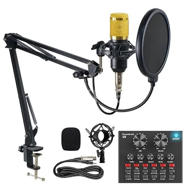 Professional Condenser Microphone with V8 Sound Card for Sale in ...